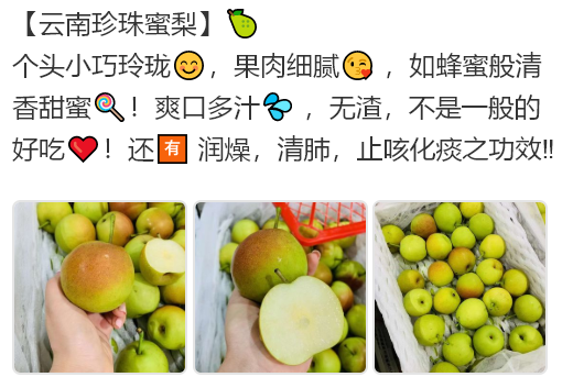 珍珠梨文案:水果珍珠梨文案怎么发圈,珍珠梨水果卖货文案 脉脉