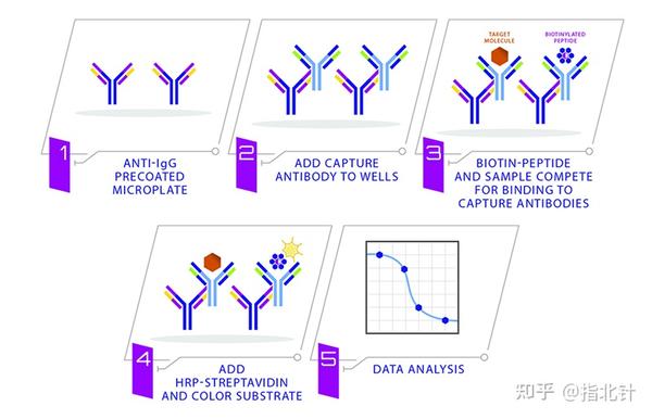 ELISA实验——原理、步骤、注意事项、示例图 - 知乎