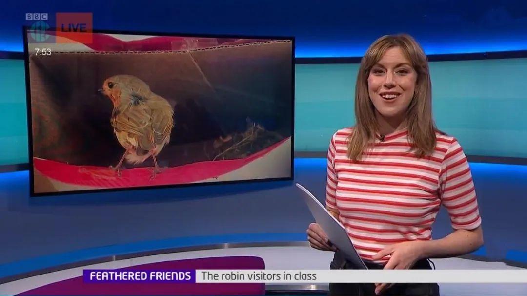 宝藏听力资源！神级儿童新闻节目 BBC Newsround 全球唯一一档专供少儿观赏的新闻节目，带孩子放眼世界 - 知乎
