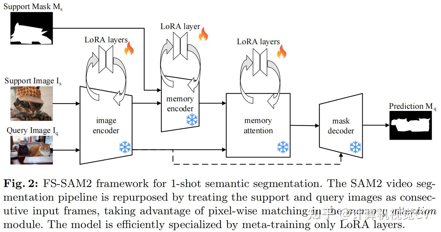 少样本分割不用愁！FS-SAM2 靠 SAM2+LoRA 实现性能与效率双优 - 知乎