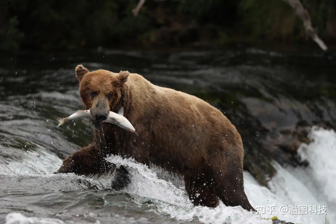历史上的今天佳能5D4正式发布 - 知乎