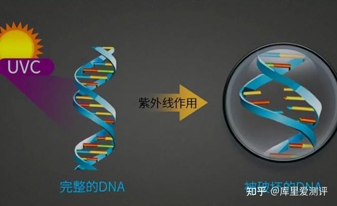 加湿器怎么选？2022年加湿器选购攻略：airx、IAM、科西、352、舒乐氏等热门品牌实测（10月更新）