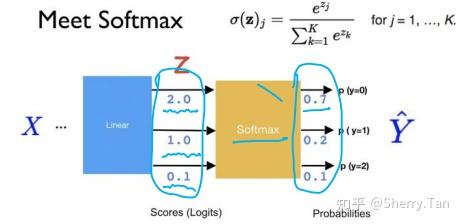 一文了解神经网络MLP(ANN), CNN, RNN - 知乎