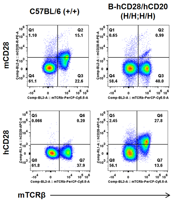 老将再掀新浪潮，CD20靶点火力全开 - 知乎