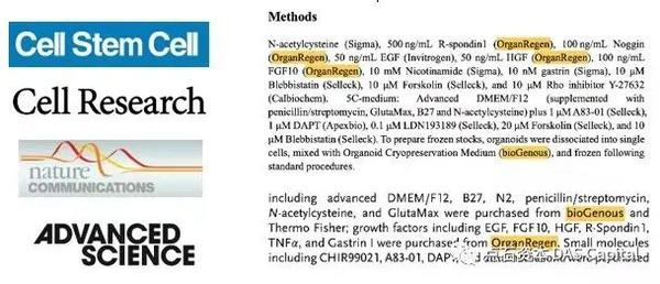 再谈类器官：现代化医疗的革命性模型 | 点石行研 - 知乎
