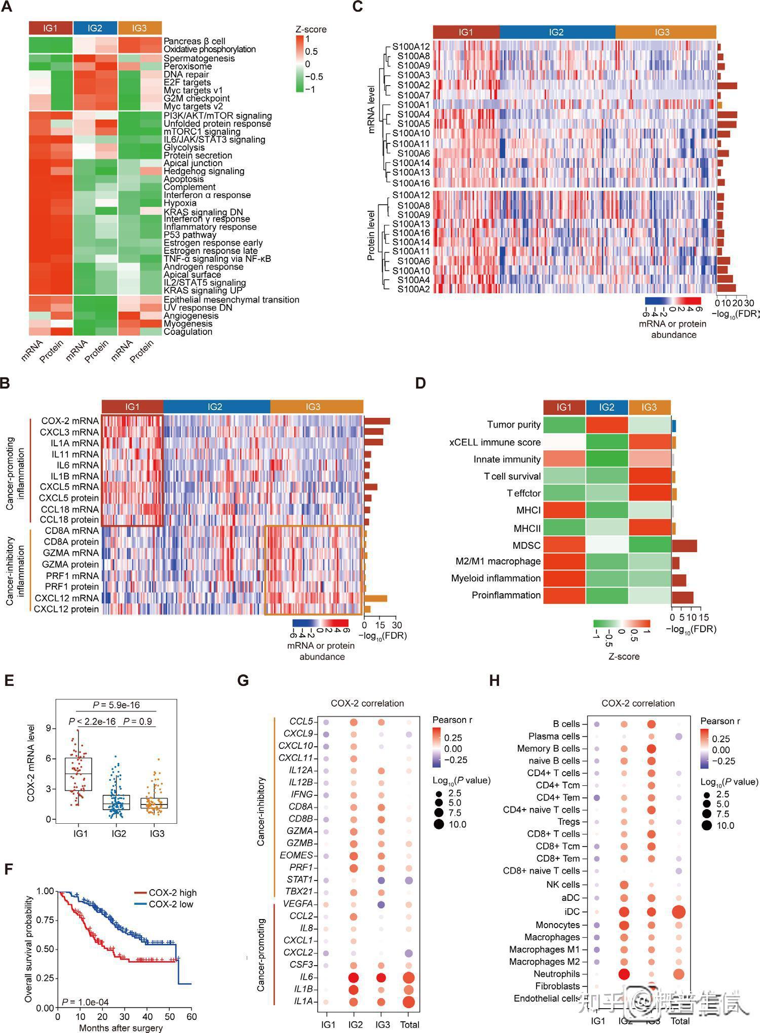 肝内胆管癌的免疫亚群具有治疗异质性 - 知乎