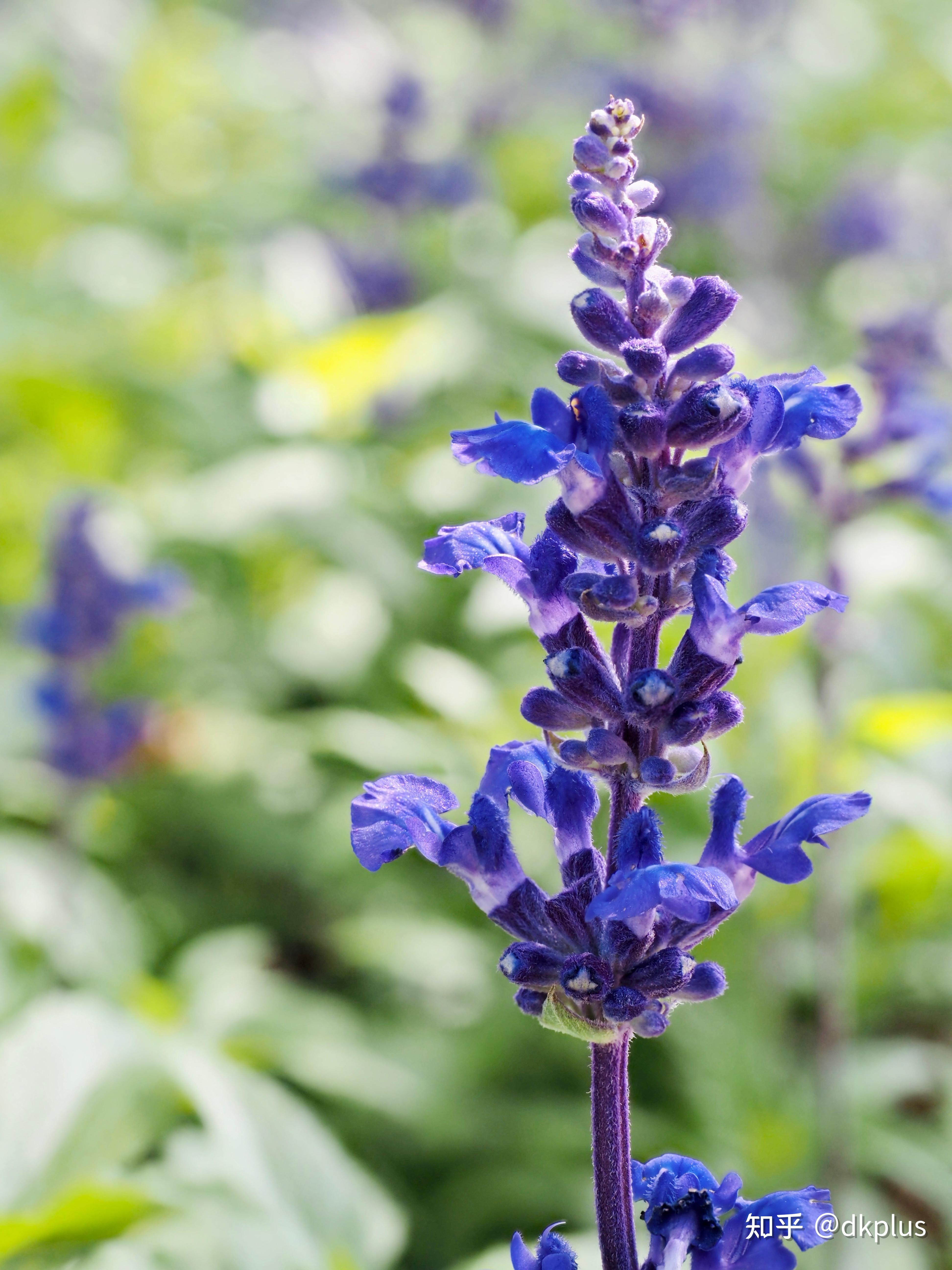 松下S5和奥林巴斯em13还有em53怎么选? - 知乎