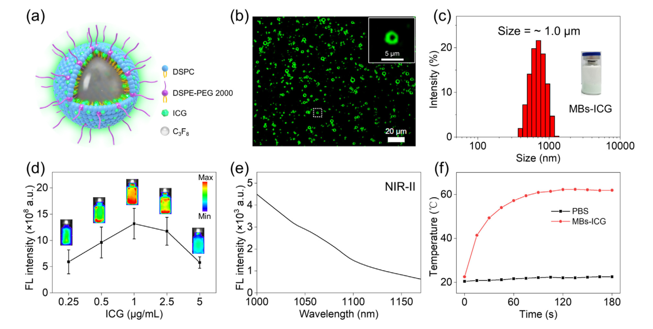 纳米材料 | 超声诱导以打开血脑屏障的 NIR-II 荧光可视化，用于使用ICG吲哚菁绿微泡增强光热治疗胶质母细胞瘤 - 知乎