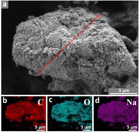 SEM的基本原理及应用 - 知乎