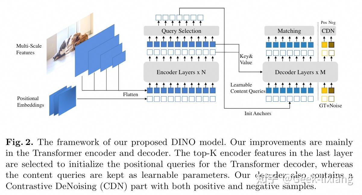 DINO paper阅读+代码详解 - 知乎