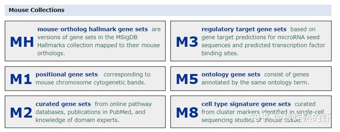 从MSigDB查找感兴趣的基因集 - 知乎