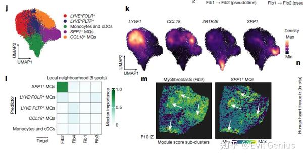 单细胞多组学（RNA + ATAC）联合分析的智慧 - 知乎