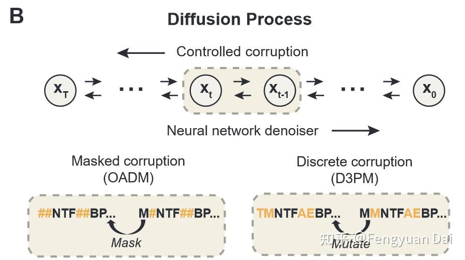 蛋白质设计EvoDiff：Sequence is all you need - 知乎