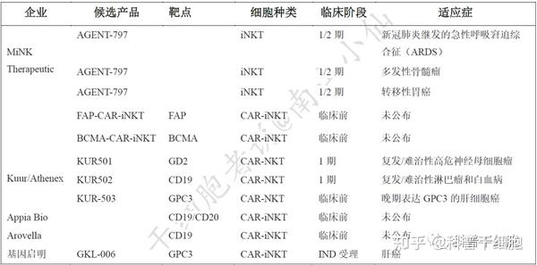 关于NKT细胞，你想知道的在这里 - 知乎