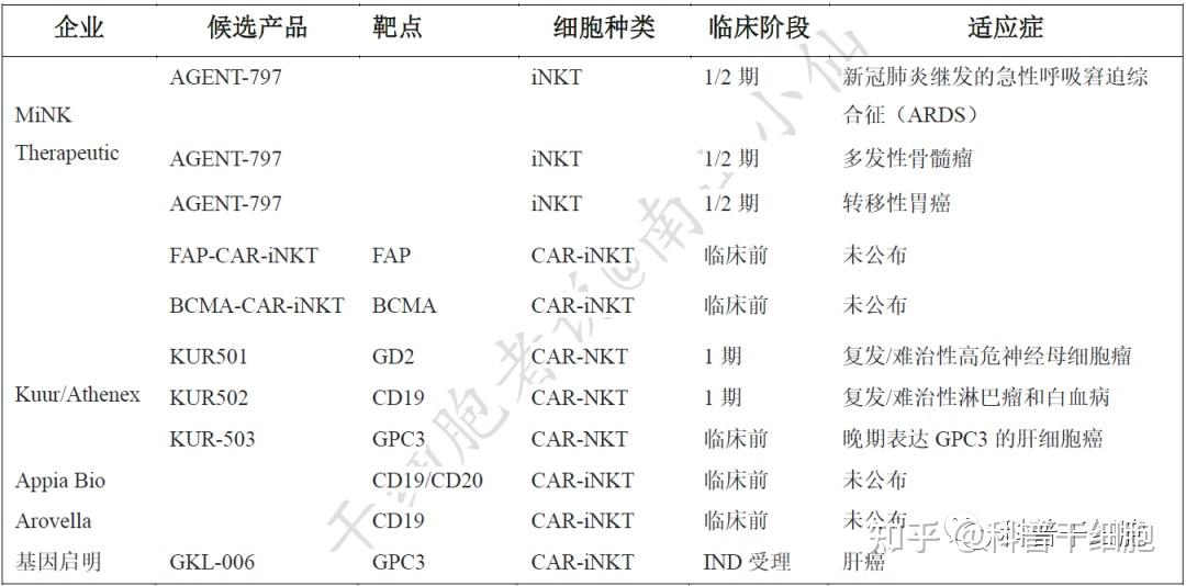 关于NKT细胞，你想知道的在这里 - 知乎