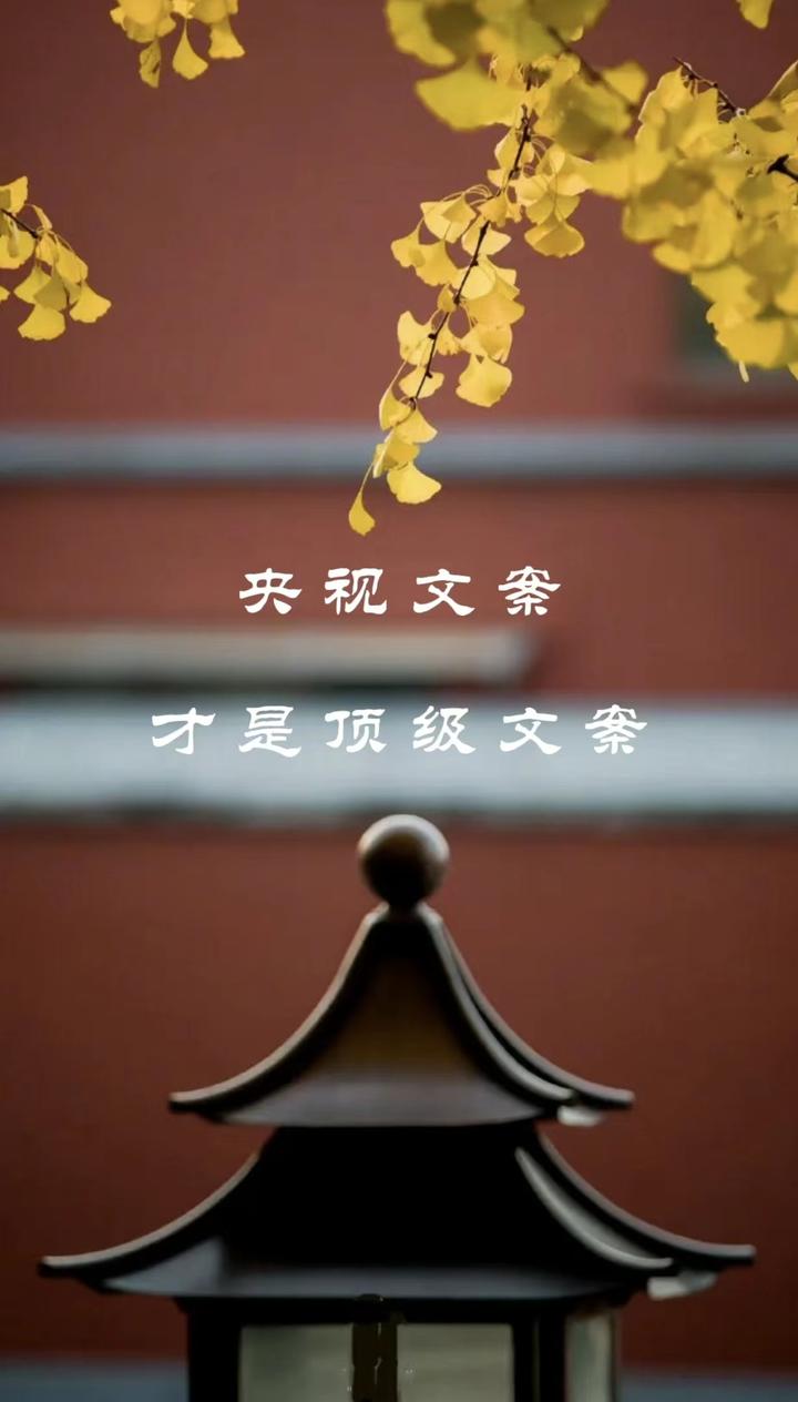 盘点那些惊艳的央视顶级文案(一) 知乎