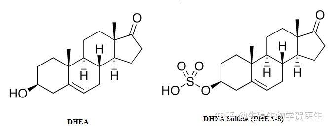卵巢早衰补充DHEA须知：171篇文献总结 - 知乎