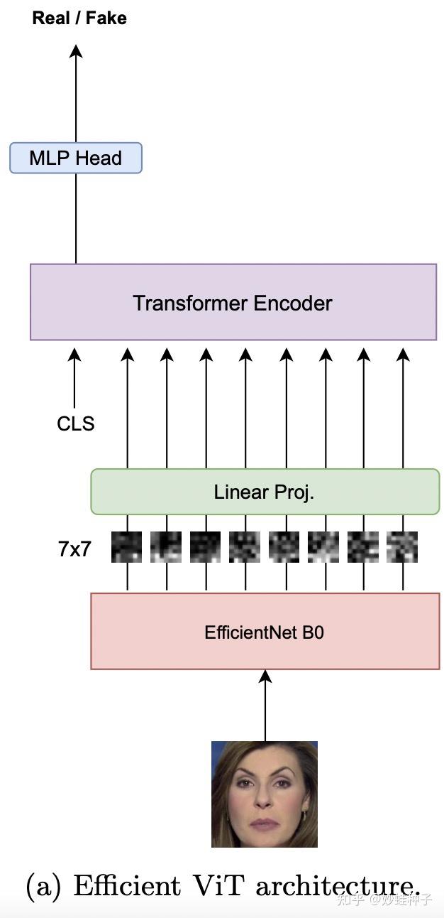 vision transformers深伪检测论文阅读一 - 知乎