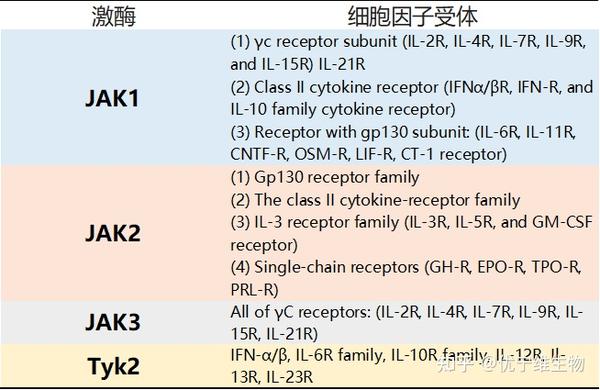 【小优细节君】关于JAK激酶，你需要了解的二三事 - 知乎