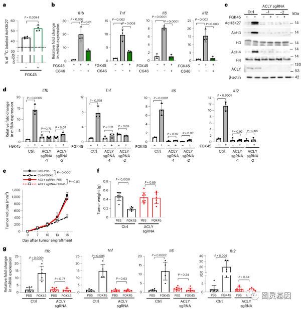 Nat Immu | CD40信号通过代谢重编程刺激巨噬细胞的抗肿瘤效应 - 知乎