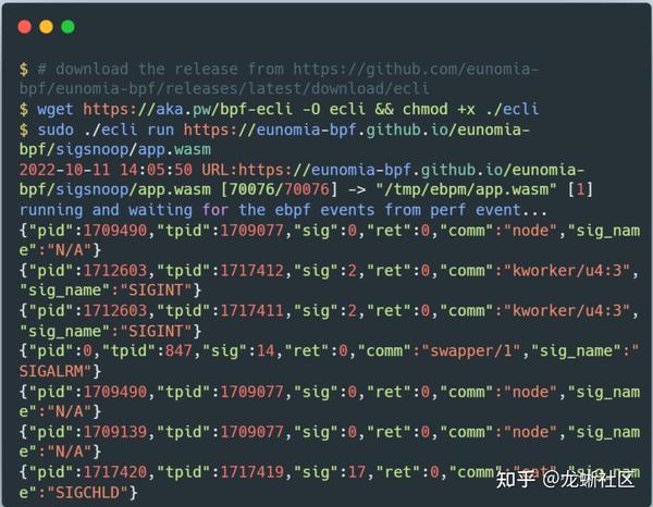 当 WASM 遇见 eBPF：使用 WebAssembly 编写、分发、加载运行 eBPF 程序 | 龙蜥技术 - 知乎