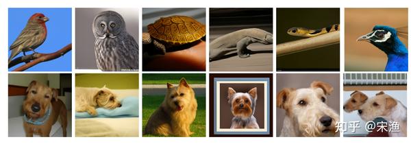 ViT-VQGAN：Vector-quantized Image Modeling with Improved VQGAN论文笔记 - 知乎