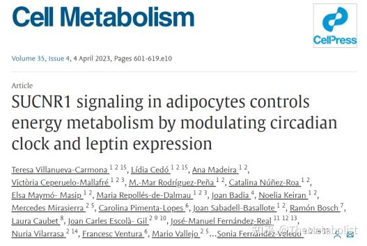 代谢学人--Cell Metabolism：Sucnr1--守护脂肪细胞，维持代谢稳态 - 知乎