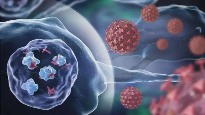 Sci Immu ｜ 机械力促进免疫监视：外分泌腺驻留记忆性CD8+ T细胞利用机械感应进行组织监测 - 知乎
