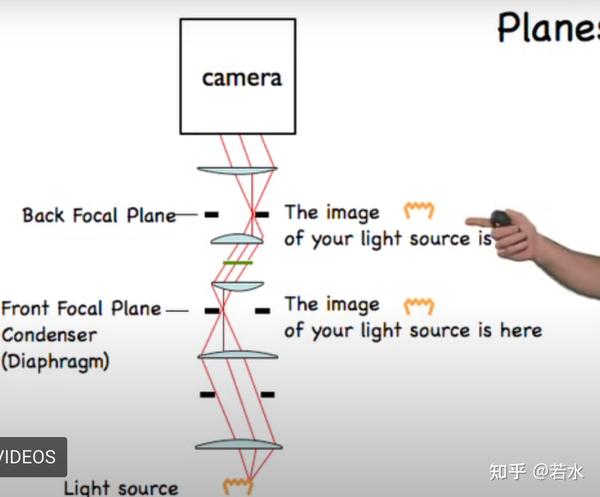 学习笔记ibiology.org | Microscopy Series（1-5） - 知乎