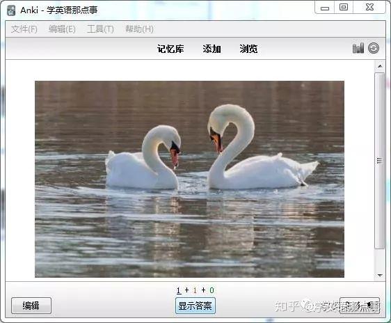 Anki怎么用|小白anki安装使用指南+记忆库资源推荐 - 知乎
