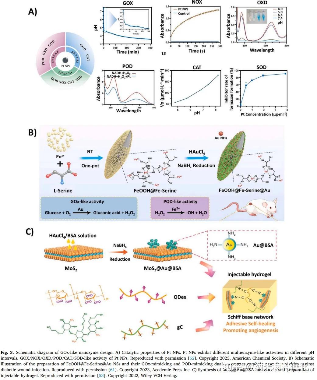 【Bioact.Mater.】葡萄糖氧化酶：糖尿病伤口愈合的一种新兴的多维治疗选择 - 知乎