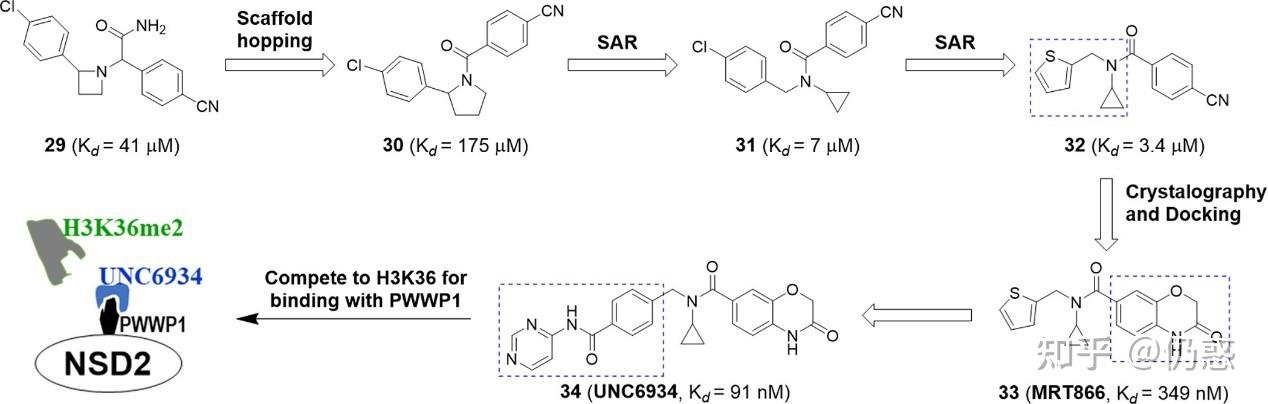 靶向组蛋白甲基转移酶NSD家族的抗肿瘤小分子抑制剂研究进展 - 知乎