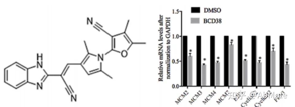 AbMole| ChemBridge化合物库再出新星: 首批DHX33抑制剂获批专利 - 知乎