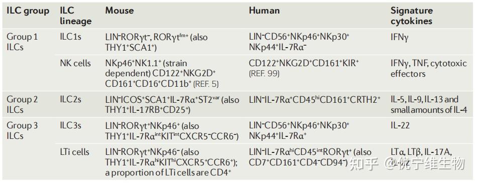 全光谱流式细胞术对小鼠固有淋巴细胞的多参数免疫分型 - 知乎