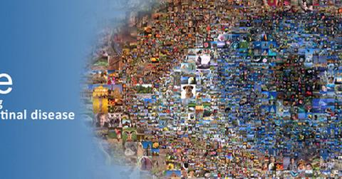 BEST1基因变异引起的黄斑营养不良征-卵黄蛋白病BVMD、AVMD、ARB、ADVIRC、RP - 知乎