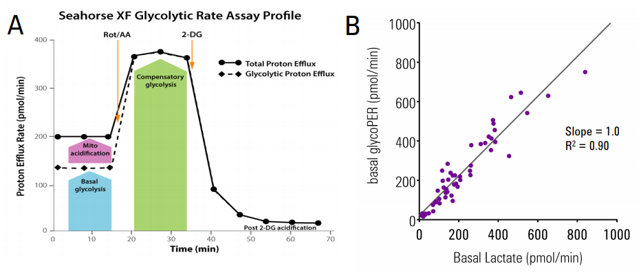 用Seahorse检测线粒体功能和细胞代谢状况 - 知乎