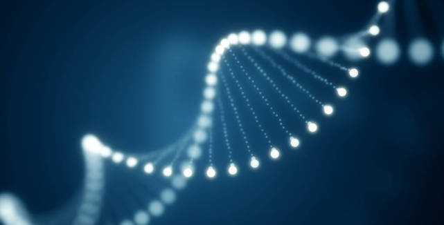 IVD分子杂交关键原料之COT 1 Human DNA - 知乎