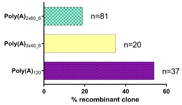 长Poly(A)尾中间有非A碱基，影响mRNA么？ - 知乎