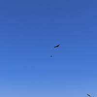 WPF系列十一：图形控件RectangleGeometry - 知乎