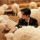 python中的scipy.optimize.least_squares求解非线性最小二乘 - 知乎