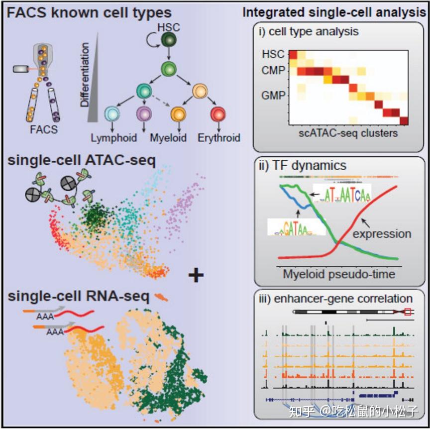 单细胞ATAC-seq到来了 - 知乎