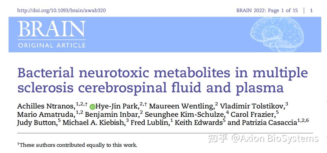 BRAIN--在中枢神经病患的肠道内发现了能够抑制神经元活性的的代谢毒素（脑肠轴/bbb体外模型/血脑屏障） - 知乎