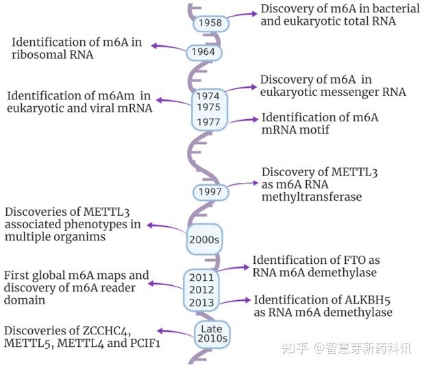 mettl3是什么，结构又是怎样的？ - 知乎