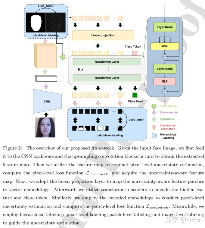 文献阅读：Uncertainty-aware Hierarchical Labeling for Face Forgery Detection ...