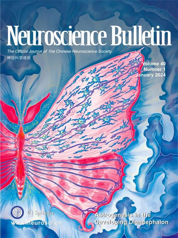 Neuroscience Bulletin 2024年第1期封面文章│间脑中星形胶质细胞的时空发生 - 知乎