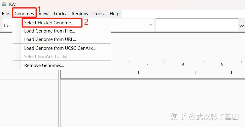 IGV使用教程（图文） - 知乎
