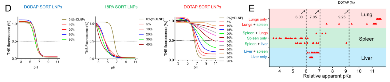 PNAS | On the mechanism of tissue-specific mRNA delivery by selective ...