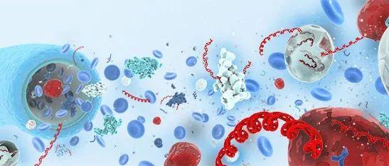 eLife | 基于cfDNA甲基化和片段组学多模态分析，实现多癌种早检及定位 - 知乎