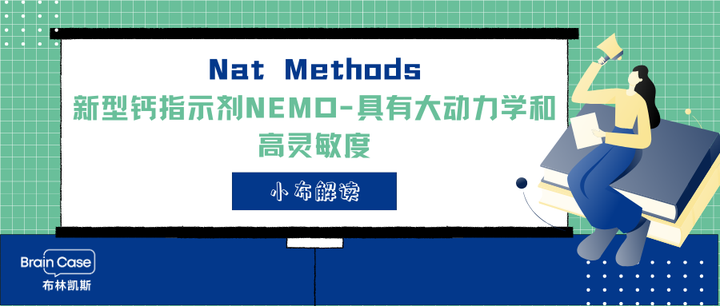 小布解读 | Nat Methods | 王友军/章晓辉/唐爱辉团队合作开发新型钙指示剂 NEMO-具有大动力学和高灵敏度 - 知乎