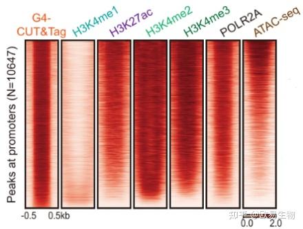 一文带你解锁新技术—CUT&Tag技术 - 知乎